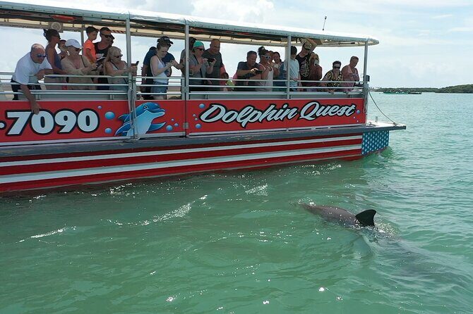 Dolphin Quest - Sightseeing/Eco Cruise, John's Pass, Madeira Beach, FL - A Scenic Dolphin Safari in Madeira Beach