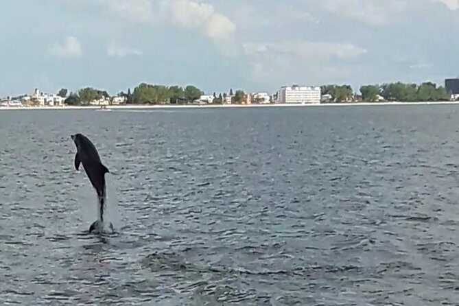 Dolphin Quest - Sightseeing/Eco Cruise, John's Pass, Madeira Beach, FL - The Itinerary: What to Expect