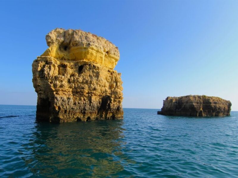 Dolphin Safari and Cave Tour in Vilamoura - Who Should Consider This Tour?