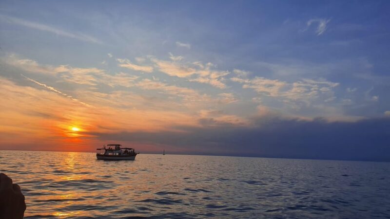 Dolphin safari every evening - Dolphin Safari Every Evening in Istria: An Authentic Coastal Experience