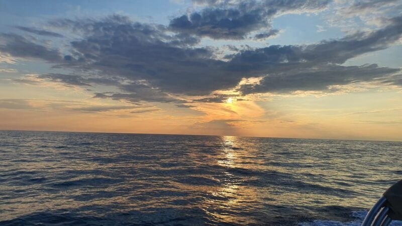 Dolphin safari every evening - Key Points