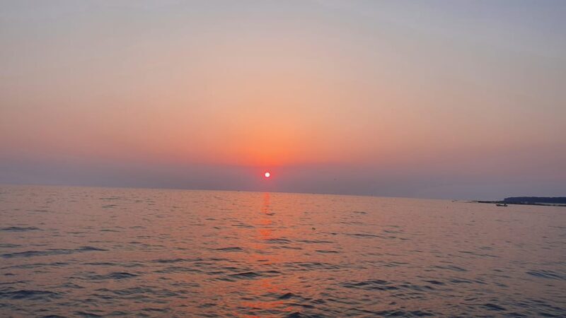 Dolphin safari every evening - Who Should Consider This Experience?