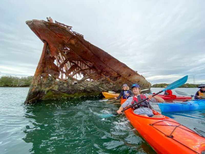Dolphin Sanctuary and Ships Graveyard Kayak Tour - An In-Depth Look at the Tour Experience