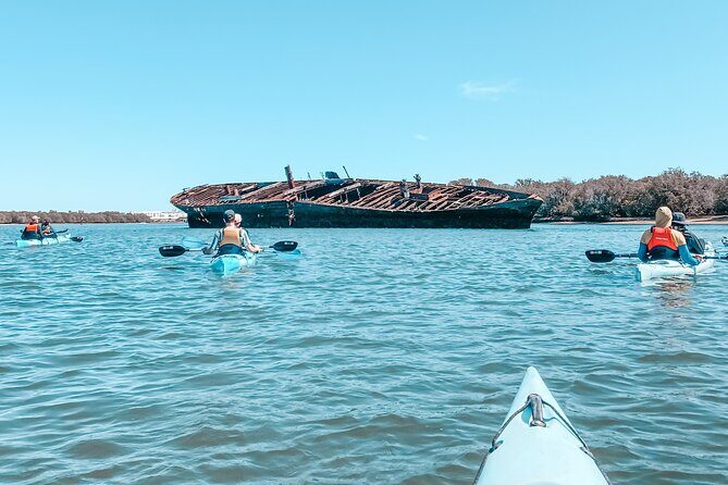 Dolphin Sanctuary Kayak Tour Adelaide - The Practical Side: Gear, Group Size, and Safety