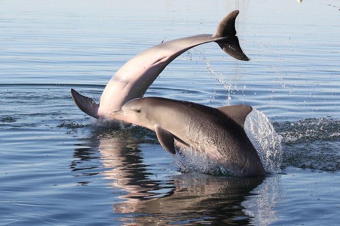 Dolphin Sanctuary Kayak Tour Adelaide - The Weather and Cancellation Policies