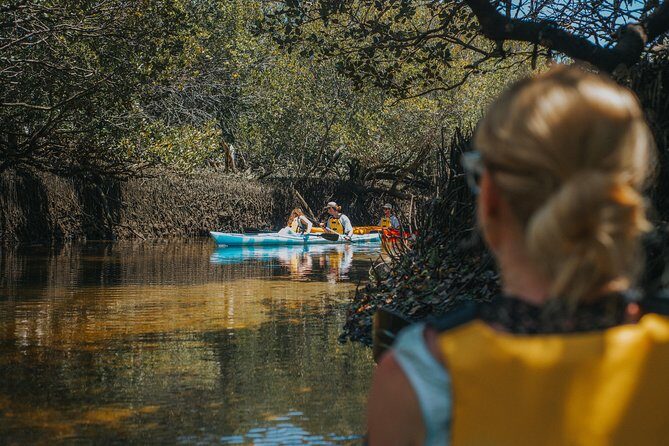 Dolphin Sanctuary Kayak Tour Adelaide - Who Should Consider This Tour?