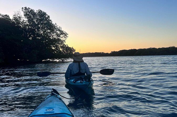 Dolphin Sanctuary Kayak Tours Twilight Mangrove Kayak - Authentic Experiences and Authenticity