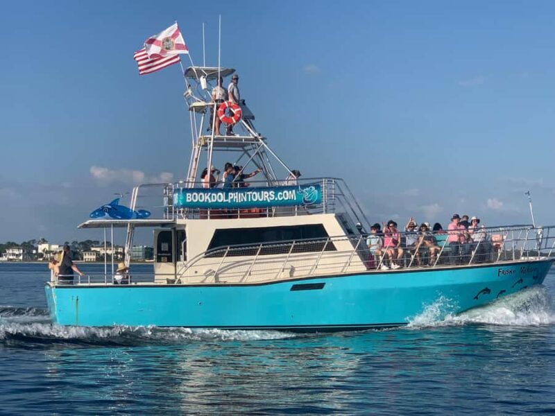 Dolphin & Scenic Bay Sightseeing Cruise Up to 49, Pensacola - Who Will Enjoy This Tour?