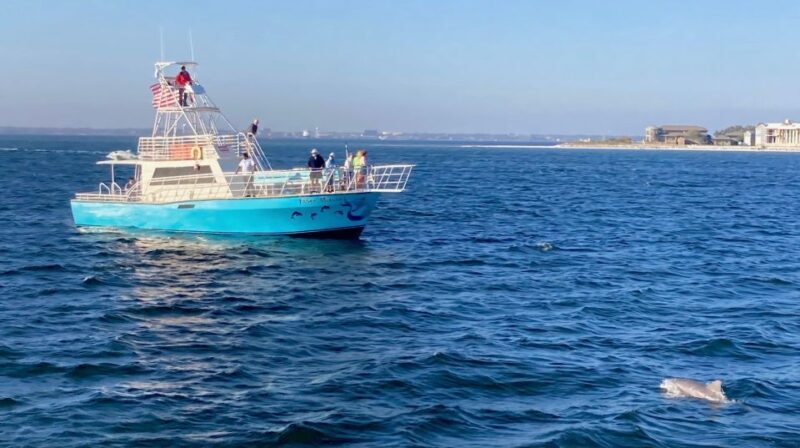 Dolphin & Scenic Bay Sightseeing Cruise Up to 49, Pensacola - The Itinerary and Vessel Experience
