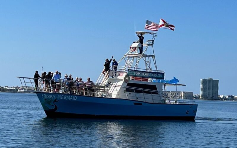 Dolphin & Scenic Bay Sightseeing Cruise Up to 49, Pensacola - Who Will Love This Tour?