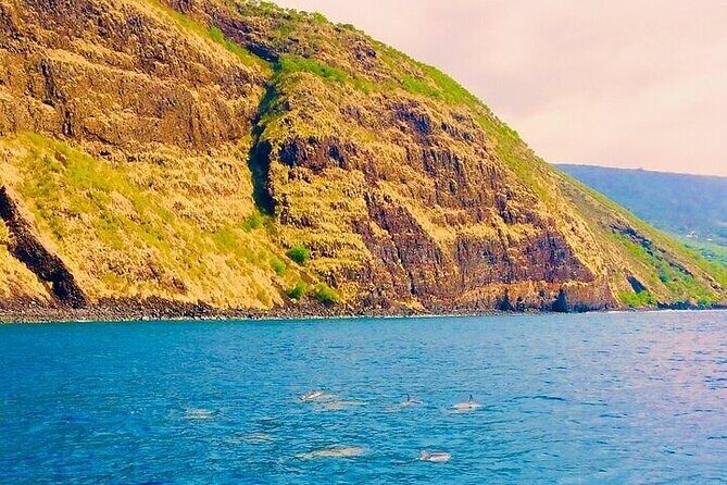 Dolphin, Sea Cave & Captain Cook Snorkel Combo in Kealakekua Bay - Who Will Love This Tour?