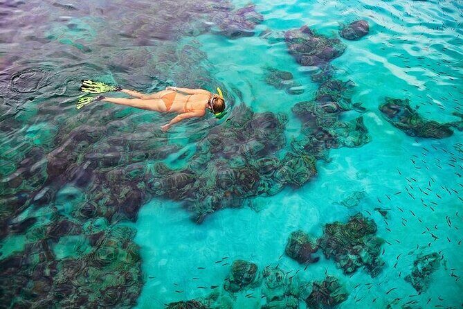 Dolphin, Sea Cave & Captain Cook Snorkel Combo in Kealakekua Bay - Frequently Asked Questions