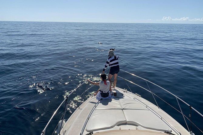 Dolphin Searching Tour in Puerto de Mogán ("KEEPER UNO" Boat) - Setting out on a Marine Adventure