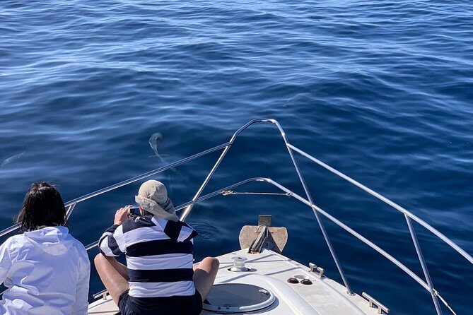 Dolphin Searching Tour in Puerto de Mogán ("KEEPER UNO" Boat) - FAQ