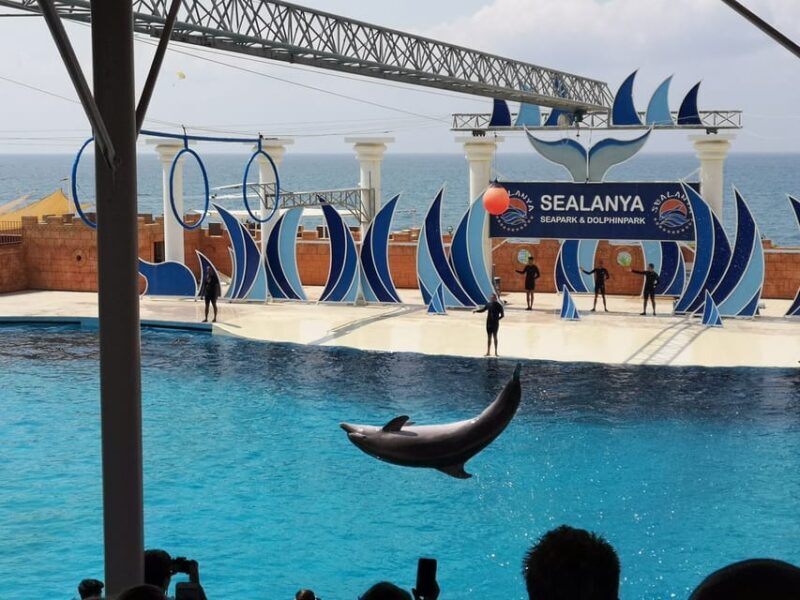 Dolphin Show Free Transfer From Alanya, Side, Kemer,Antalya - Who Would Enjoy This Tour?