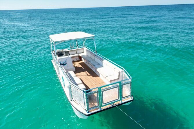 Dolphin Sightseeing and Shell Island Snorkel Tour - Introduction