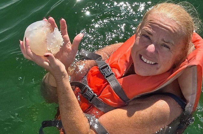 Dolphin Sightseeing and Shell Island Snorkel Tour - Value and Practical Tips