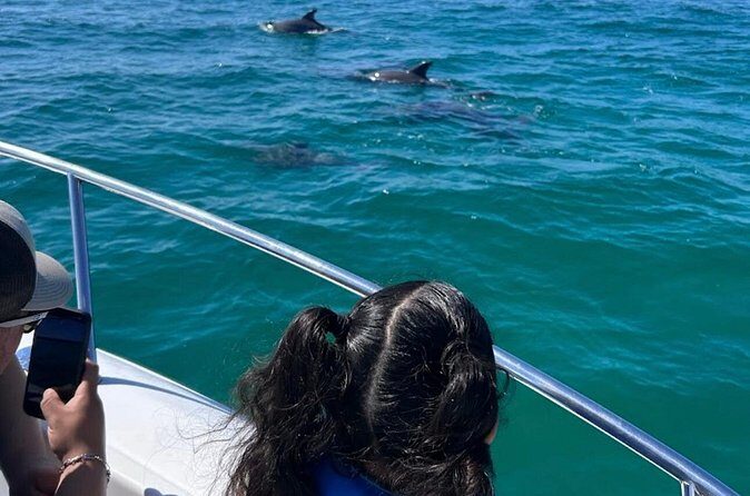Dolphin Sightseeing and Shell Island Snorkel Tour - Who Should Book This Tour?