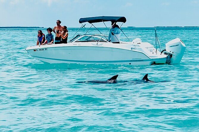 Dolphin & Snorkel - Key Points