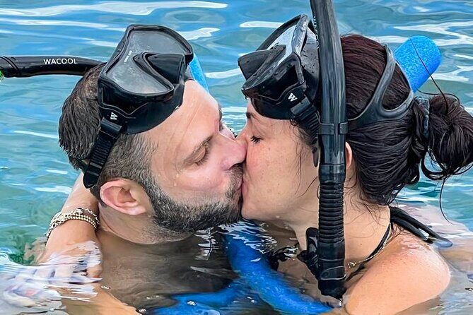 Dolphin & Snorkel - Authentic Experiences from Guest Reviews