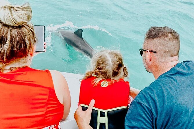Dolphin & Snorkel - The Sum Up: Why This Tour Is a Great Choice