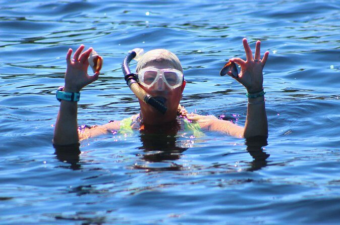 Dolphin Snorkel Tour - Final Thoughts
