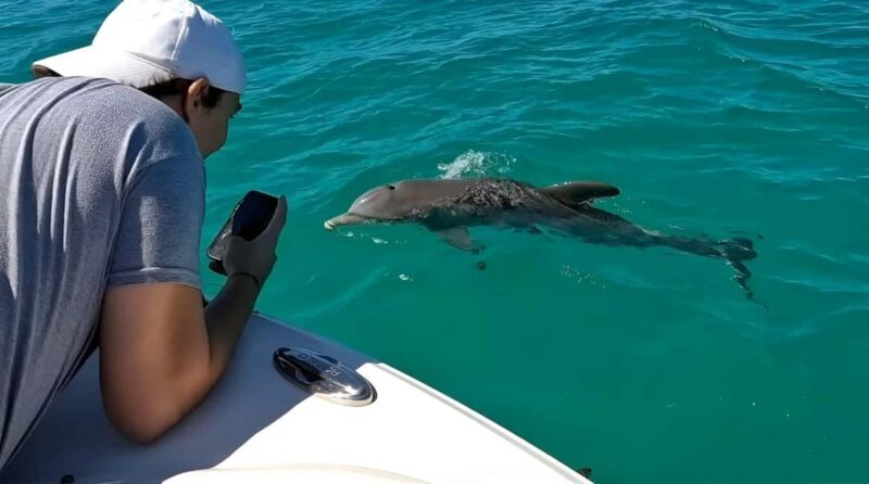 Dolphin & Snorkeling Key West - The Practical Side: Logistics and Value