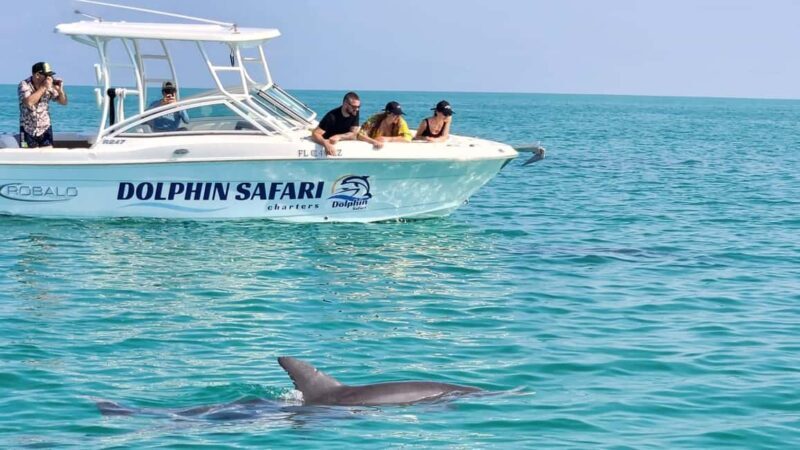 Dolphin & Snorkeling Key West - FAQs