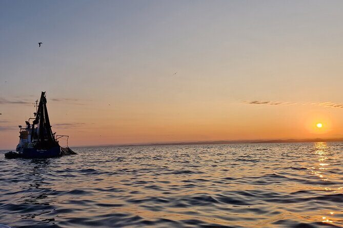 Dolphin Sunrise Adventure with Speedboat - Practical Tips for Participants