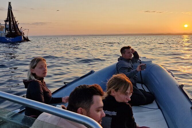 Dolphin Sunrise Adventure with Speedboat - Final Thoughts