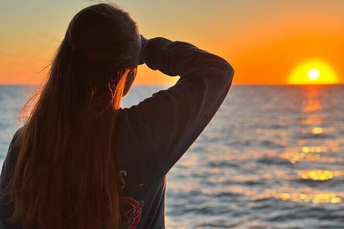 Dolphin Sunset Cruise with Drinks Included - Final Thoughts