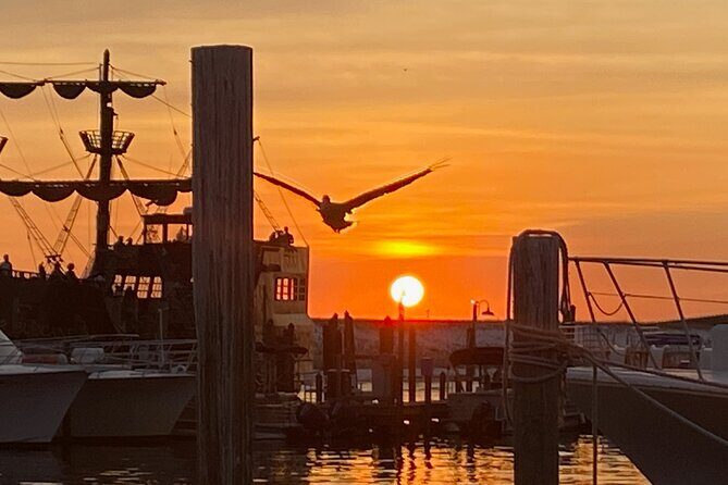 Dolphin & Sunset Cruises in Destin FL aboard the Hydrojet - Practical Tips to Make the Most of Your Cruise