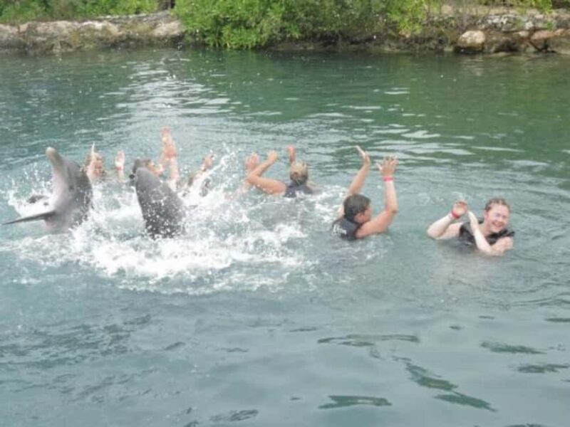 Dolphin Swim Adventure - Key Points