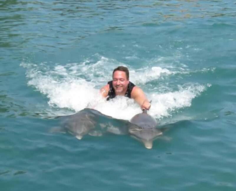 Dolphin Swim Adventure - The Experience Breakdown: What to Expect from Start to Finish