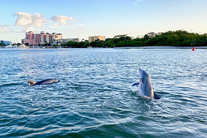 Dolphin Tiki Cruise around Fort Myers Beach - Practical Tips for Booking and Enjoying Your Tour
