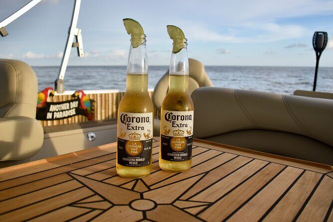Dolphin Tiki Cruise around Fort Myers Beach - The Sum Up: Who Will Love This Tour?