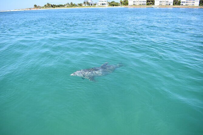 Dolphin Tiki Cruise around Fort Myers Beach - FAQs