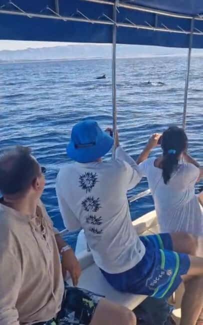 Dolphin tour 2 hours - What to Bring for the Trip