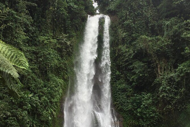 Dolphin Tour and Sunrise Watching in Lovina Beach - All Inclusive - The Sum Up