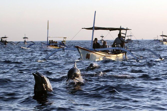 Dolphin Tour and Sunrise Watching in Lovina Beach - All Inclusive - An In-Depth Look at the Experience
