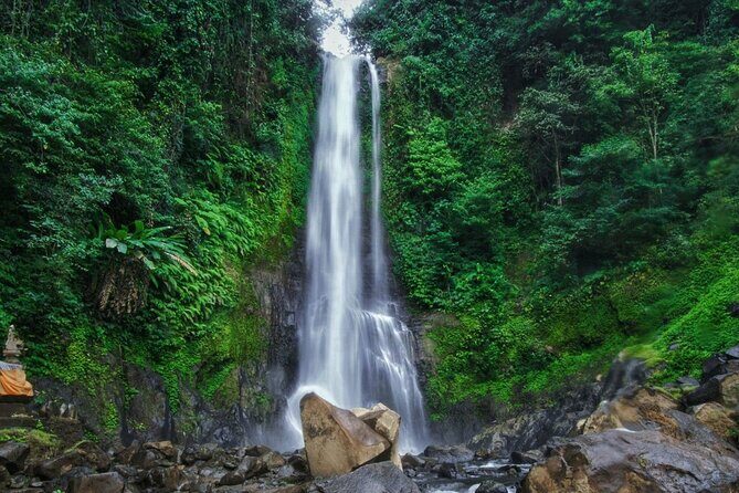 Dolphin Tour and Sunrise Watching in Lovina Beach - All Inclusive - FAQ