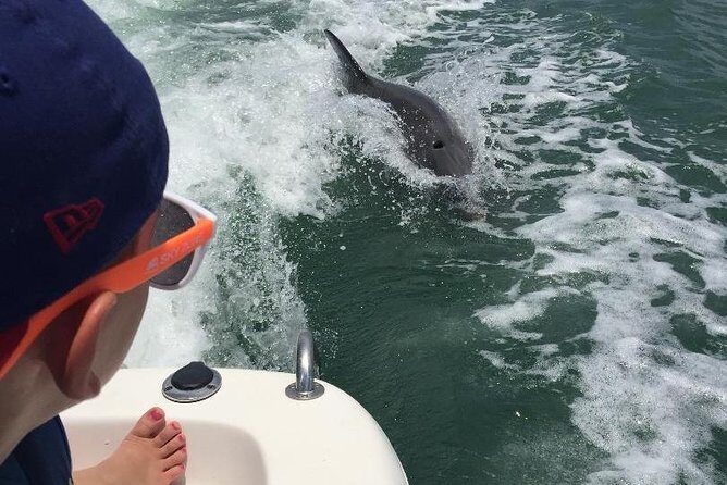 Dolphin Tours - Fort Myers Beach / Naples - Who Should Consider This Tour
