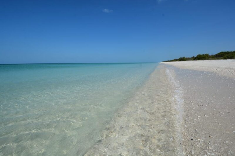 Dolphin Watch/Eco Cruise - Keewaydin Island: The Beach and Shelling Paradise