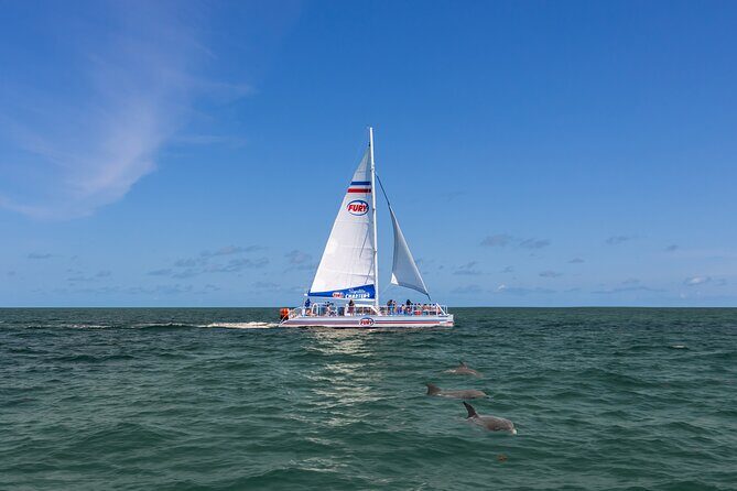 Dolphin Watch & Harbor Tour in Historical St. Augustine - Key Points