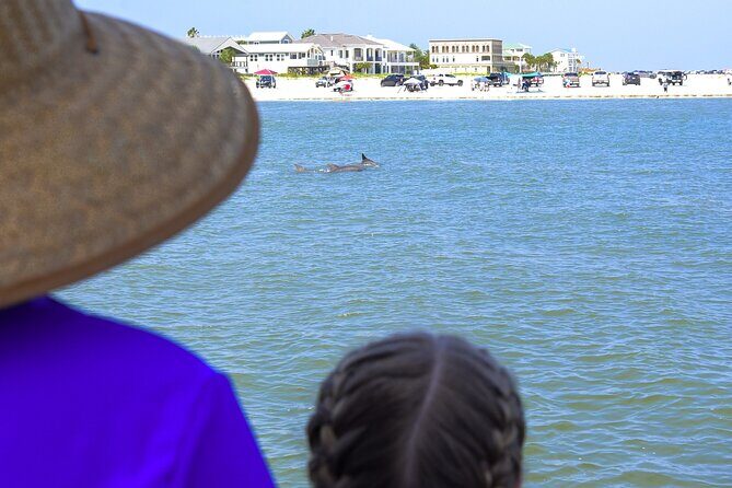 Dolphin Watch & Harbor Tour in Historical St. Augustine - Is It Worth the Price?
