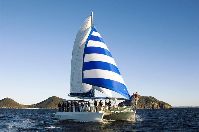 Dolphin Watch + Sailing - Port Stephens - Who Should Consider This Tour?