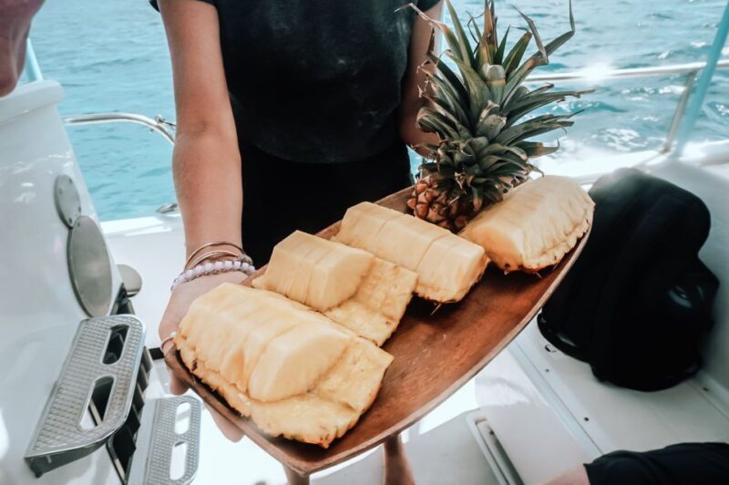 Dolphin Watch Snorkel and BBQ in Kona, Big Island - A Practical Look at the Tour Experience