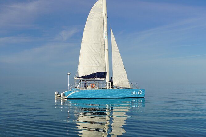 Dolphin Watch + Sunset Sail with Honest Eco - Setting Out on the Water: What to Expect