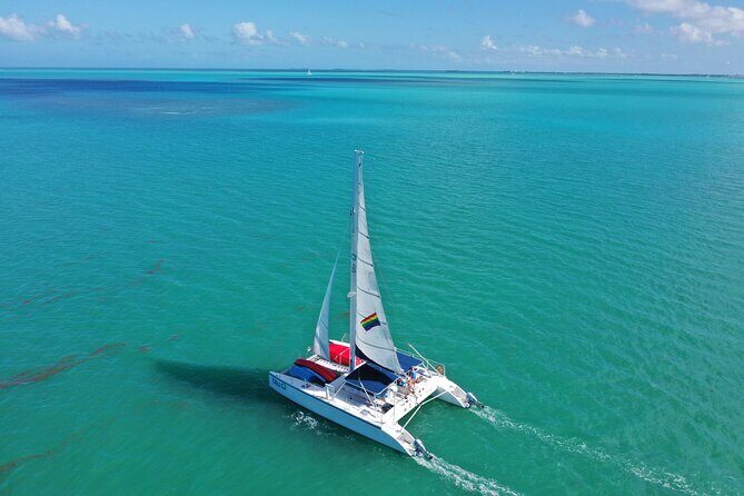 Dolphin Watch + Sunset Sail with Honest Eco - The Trip in Detail: Breaking It Down