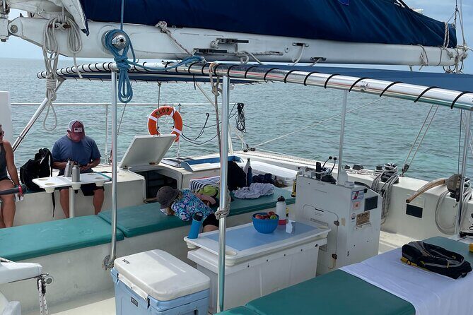 Dolphin Watch + Sunset Sail with Honest Eco - FAQ